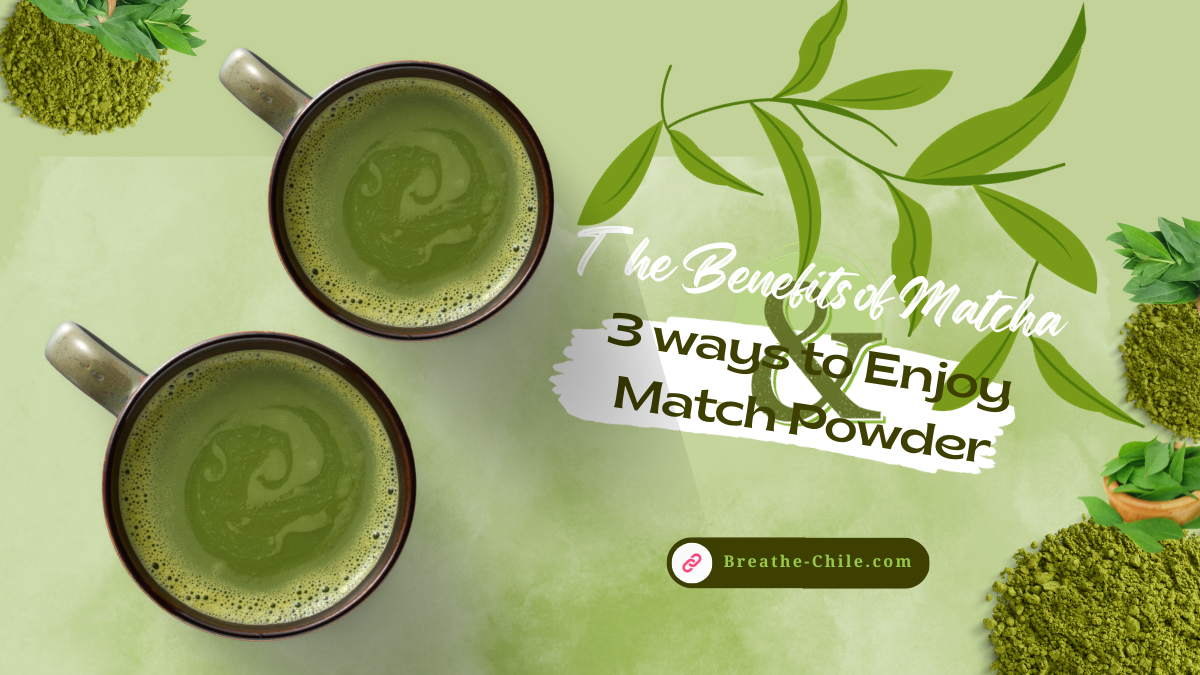 The Benefits of Matcha and 3 ways to Enjoy Match Powder
